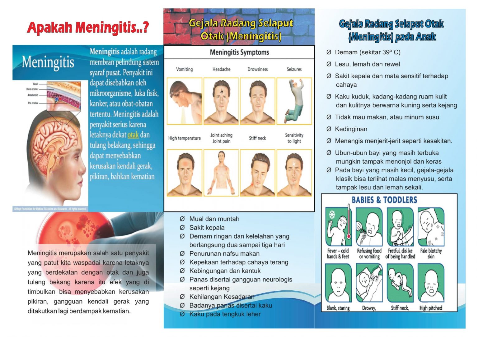 Leaflet Saraf | RSUD dr. Darsono Pacitan